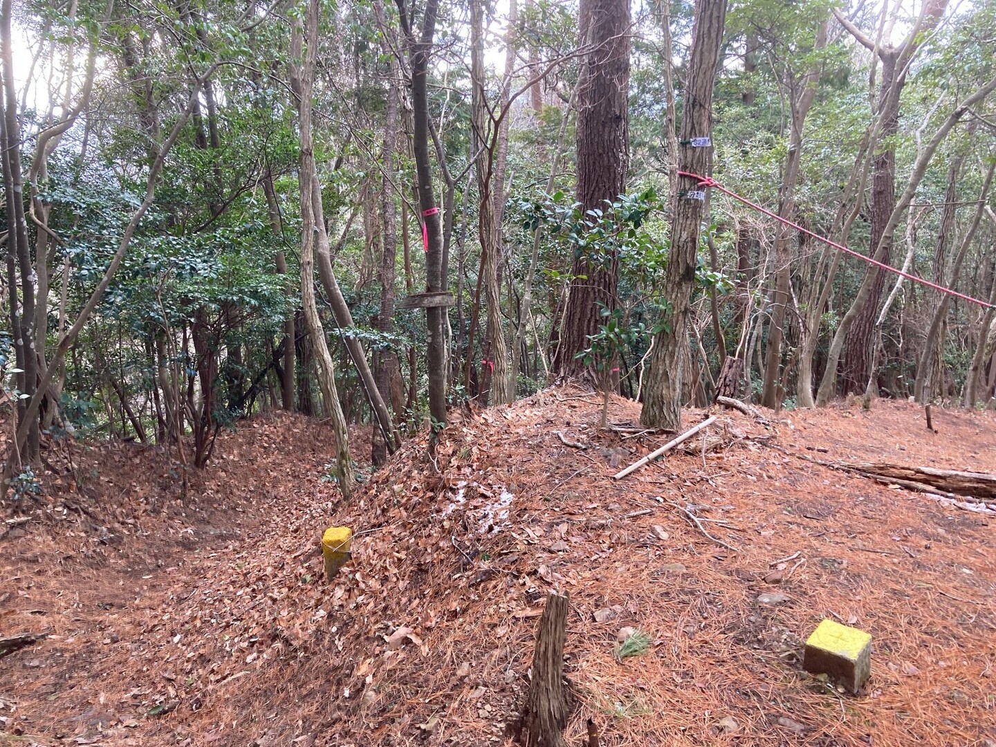 freddietさんの投稿したフィールドメモ | YAMAP / ヤマップ