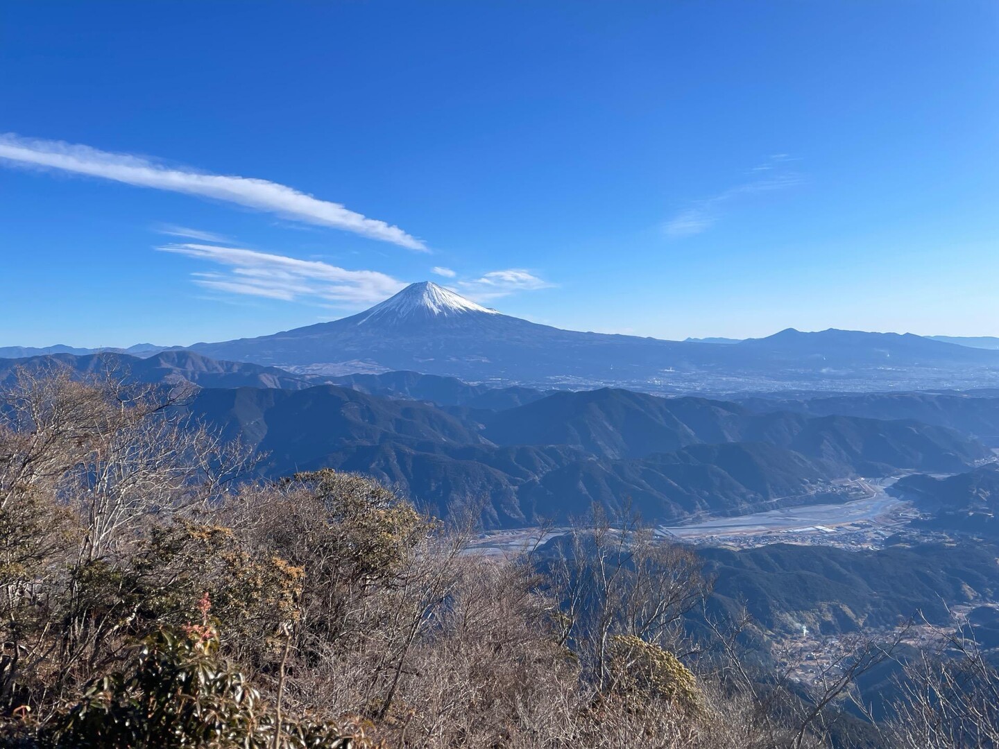 篠井山（山梨百名山96） / にゃんさんの篠井山の活動日記 | YAMAP / ヤマップ