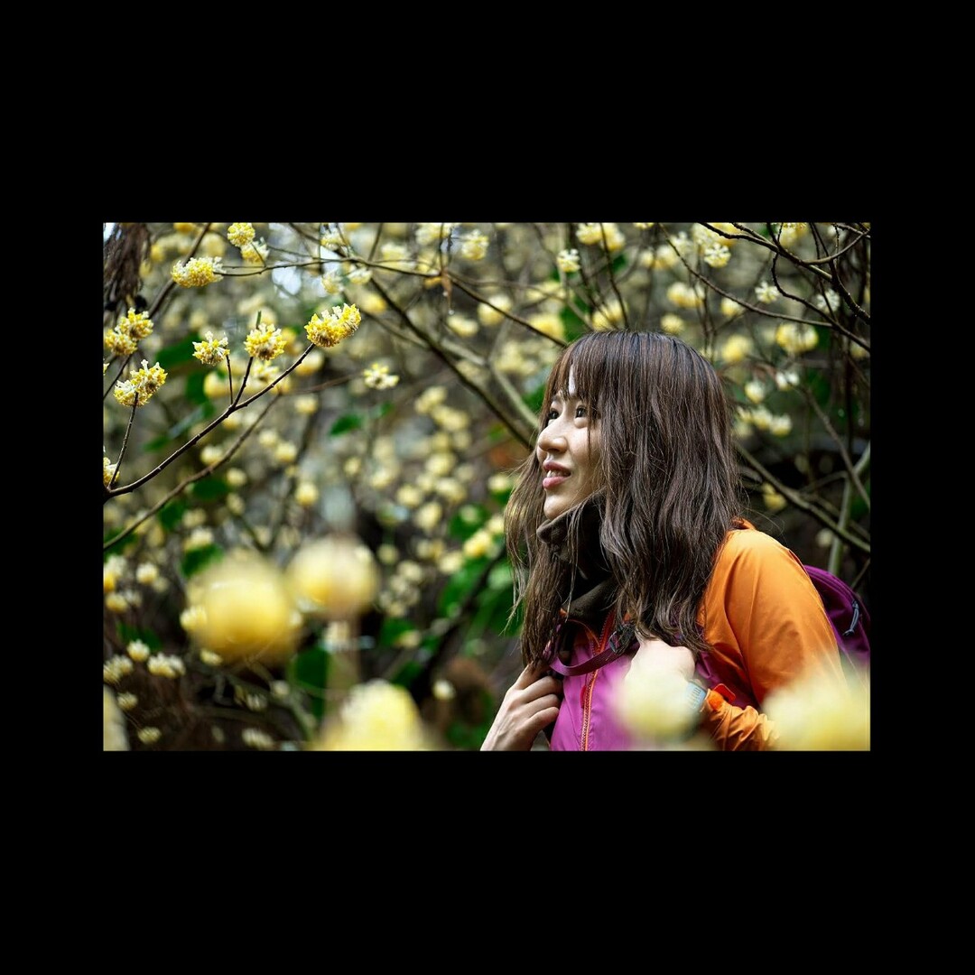 この前みたミツマタが脳裏に焼きついて🥺... / ayumiさんのモーメント | YAMAP / ヤマップ