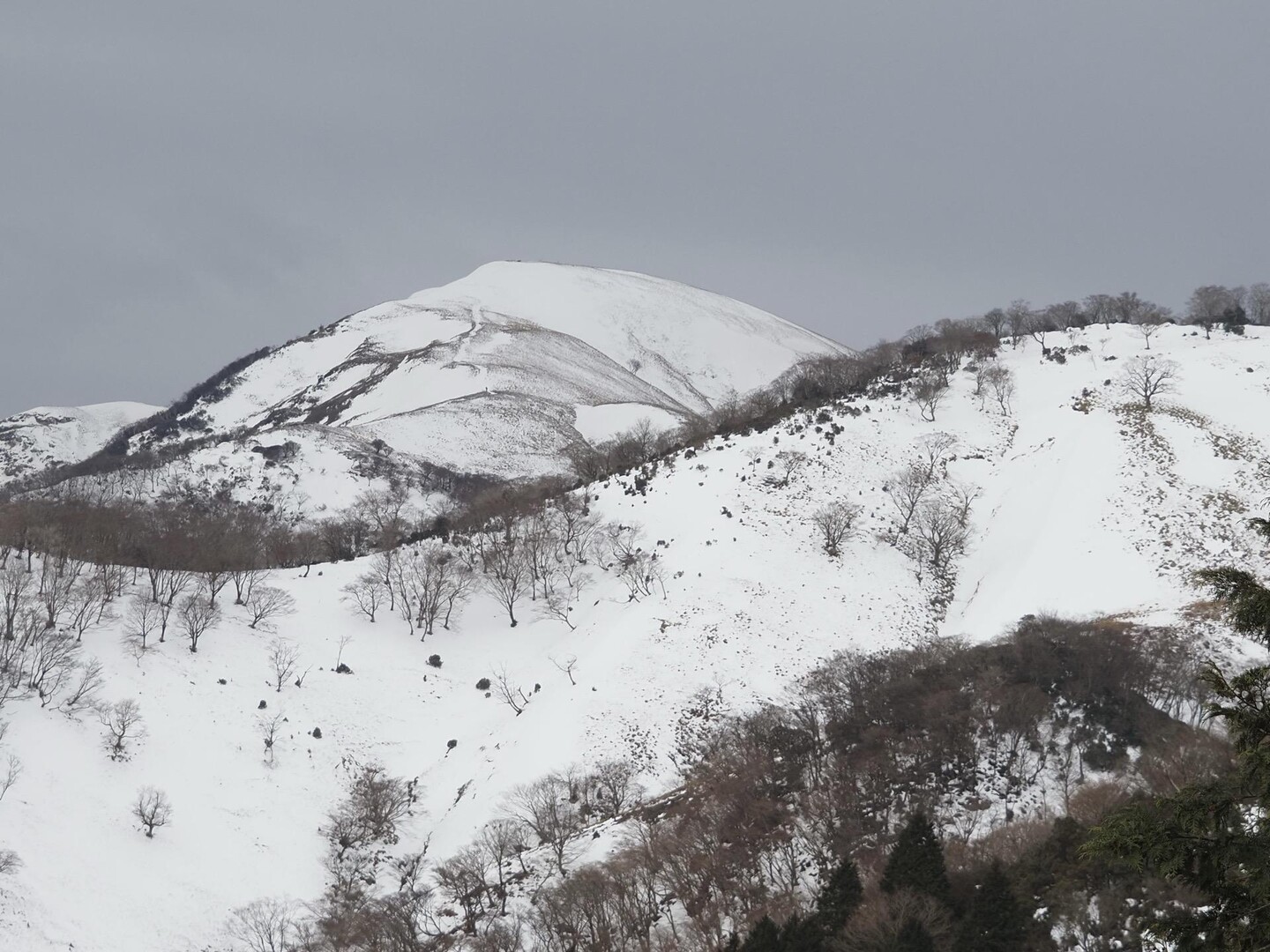 竜ヶ岳 / KOJI upさんの竜ヶ岳の活動データ | YAMAP / ヤマップ