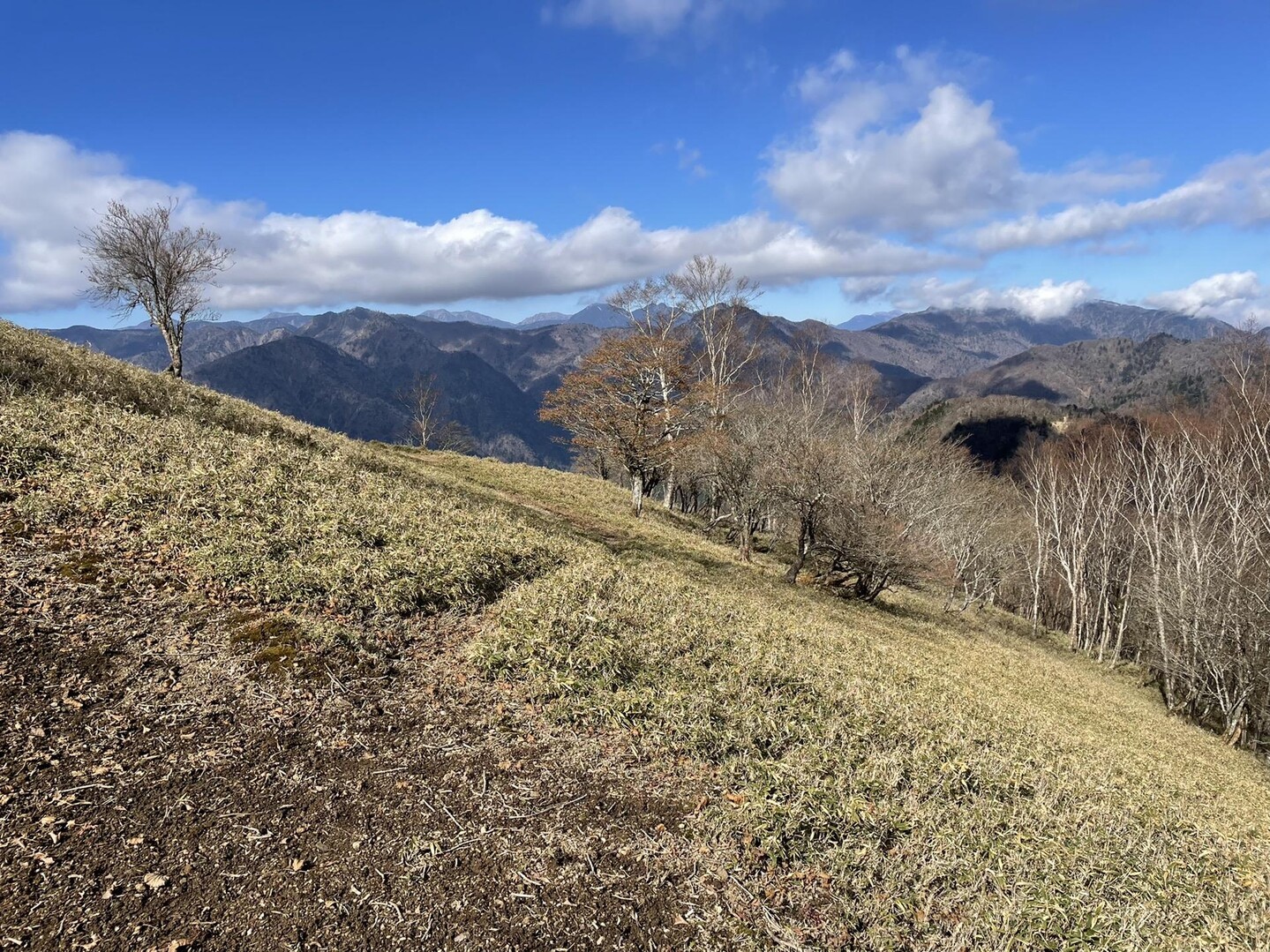 奥大光山・大光山・バラの段 周回（安倍大滝） / とるさんの山伏・八紘嶺・笹山の活動データ | YAMAP / ヤマップ