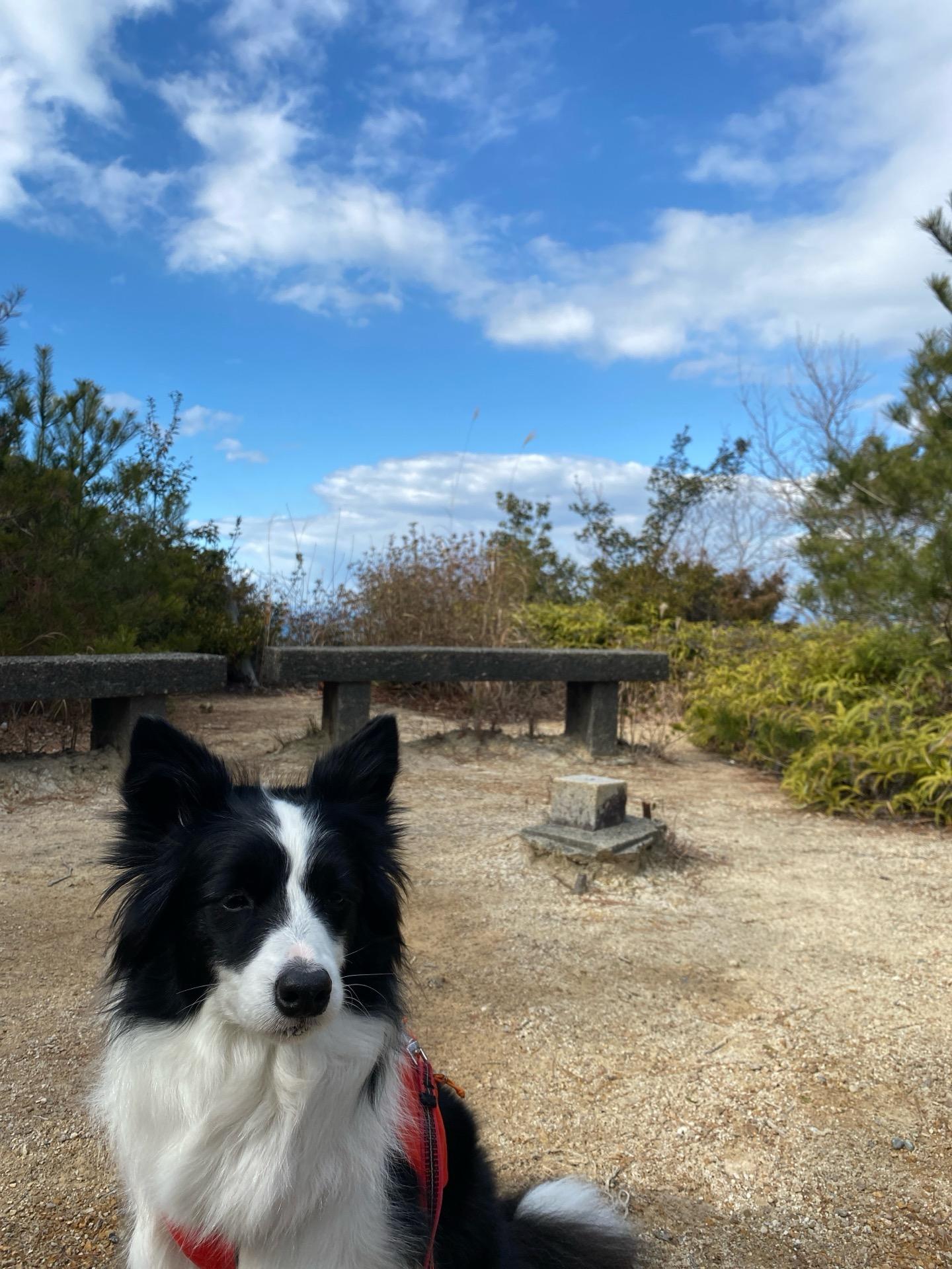 四ノ谷山 trek the dog / tetsuyasammyさんの紀泉アルプス・飯盛山・ボンデン山の活動データ | YAMAP / ヤマップ