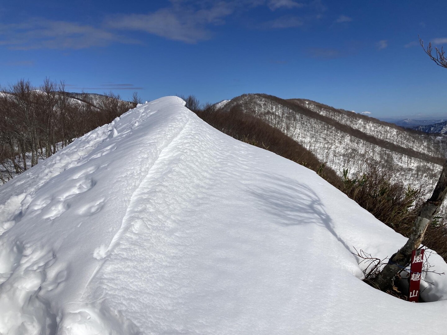 風越山 / hi-chanさんの菅名岳・大蔵山・鳴沢峰の活動データ | YAMAP / ヤマップ