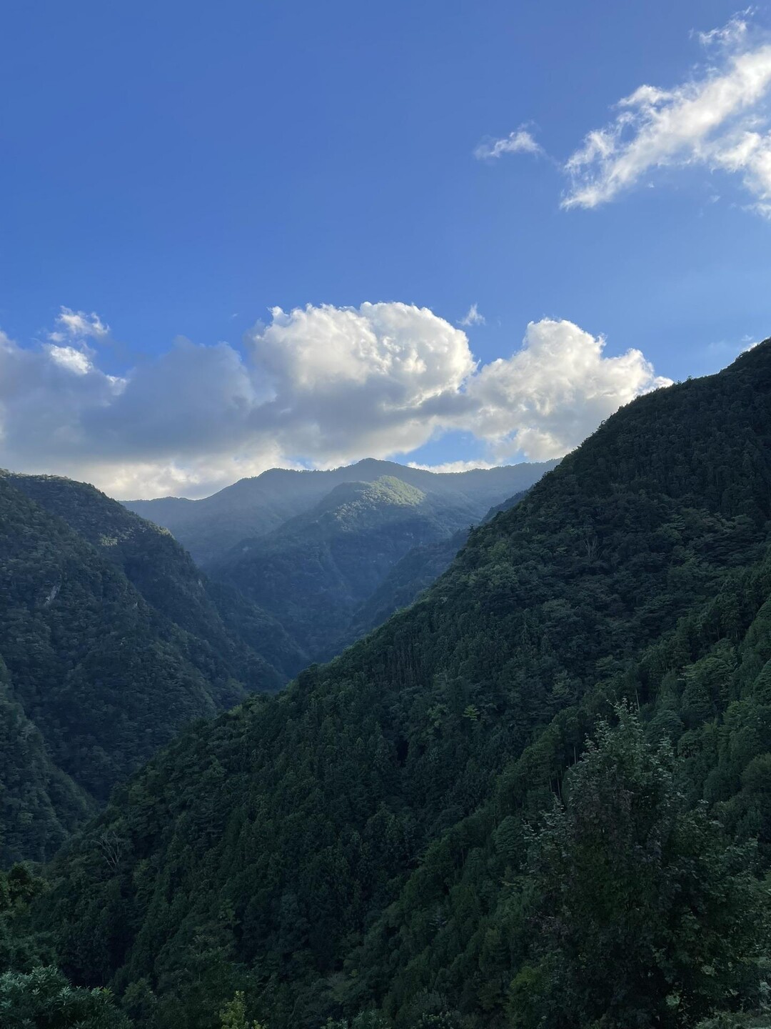 20241013霧降山・池木屋山 / wdk884さんの池木屋山の活動データ | YAMAP / ヤマップ
