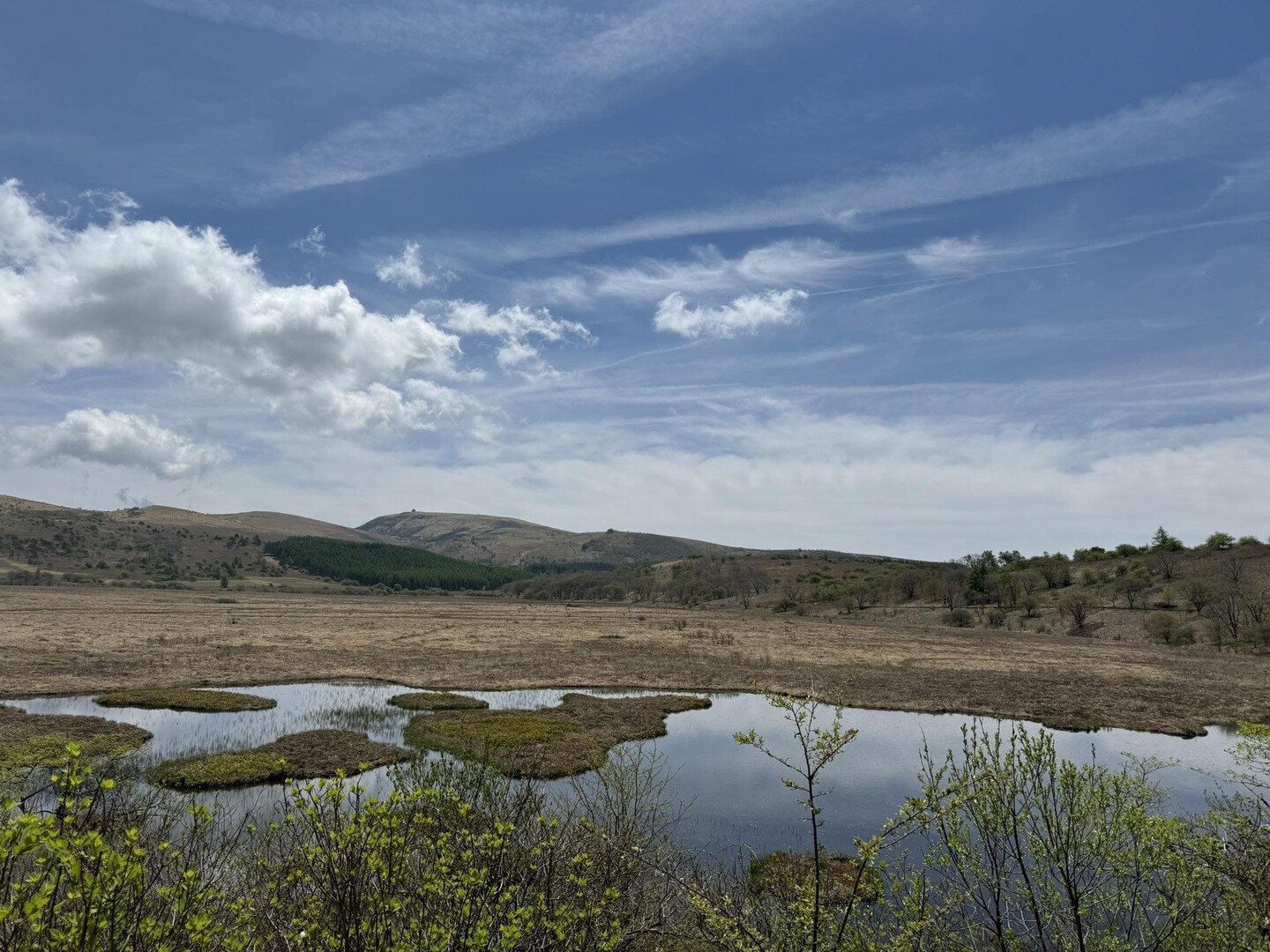 蝶々深山〜八島ヶ原湿原2024.5.21 / TOMYさんの霧ヶ峰・車山・大笹峰の活動データ | YAMAP / ヤマップ
