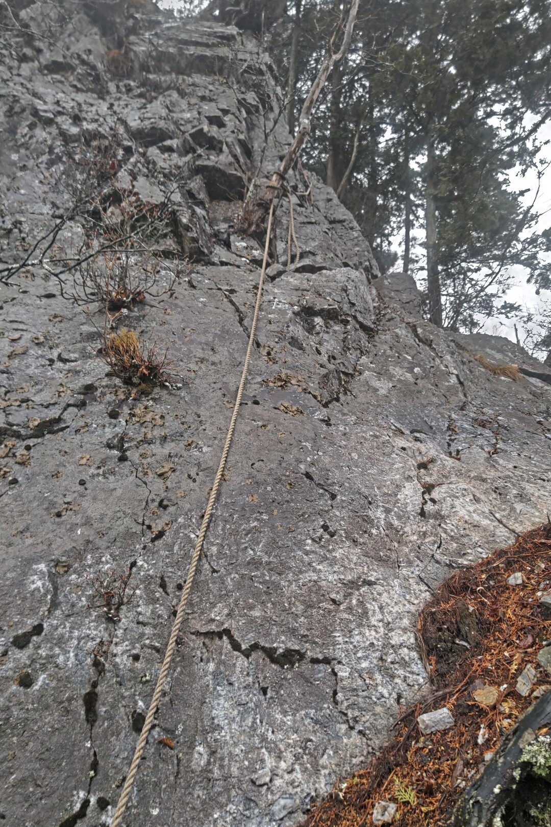 DSIさんの投稿したフィールドメモ | YAMAP / ヤマップ