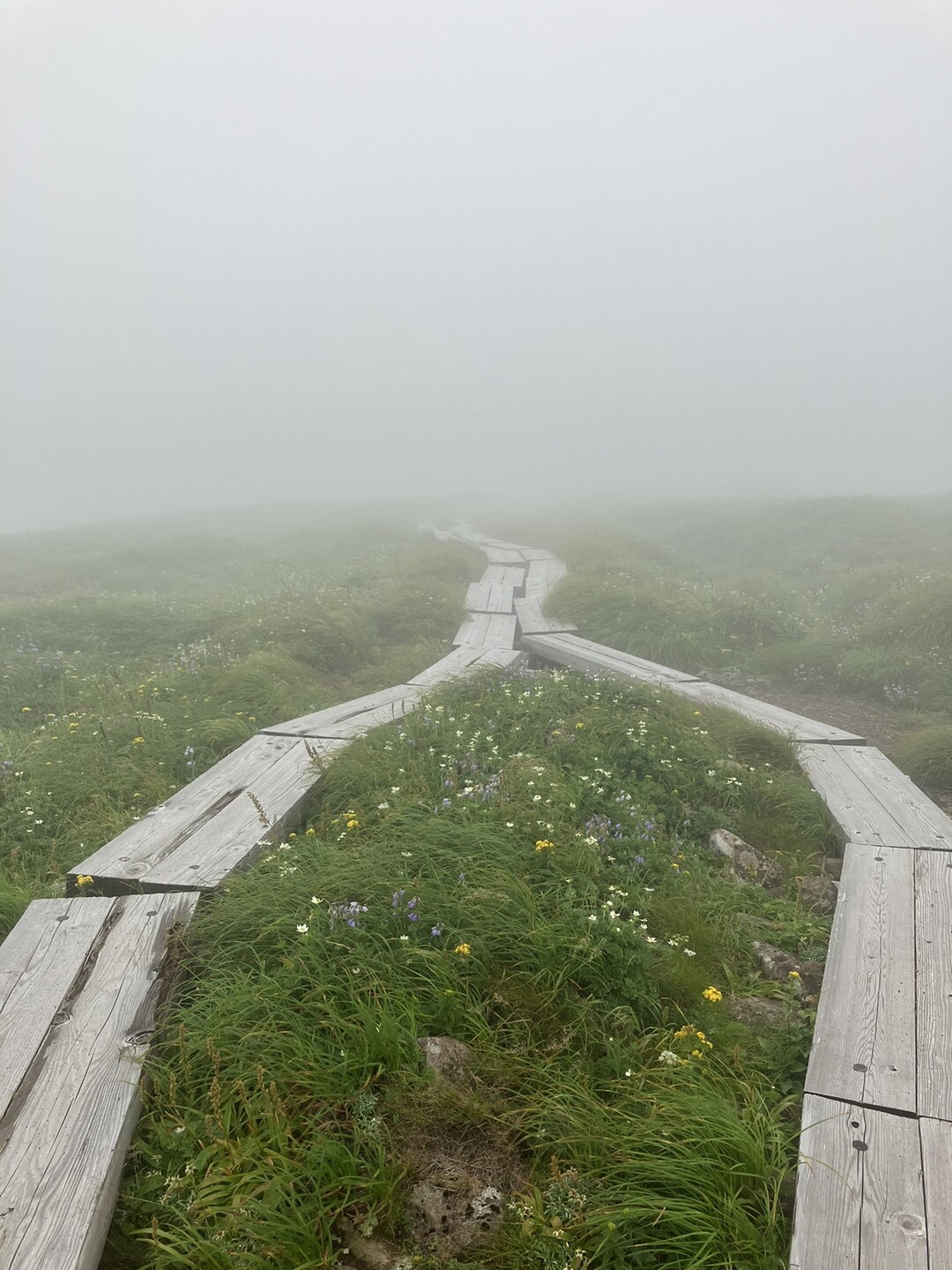 ⛰🌼🌸天空の木道🌸🌼⛰月山⛰ / masさんの月山の活動データ | YAMAP / ヤマップ