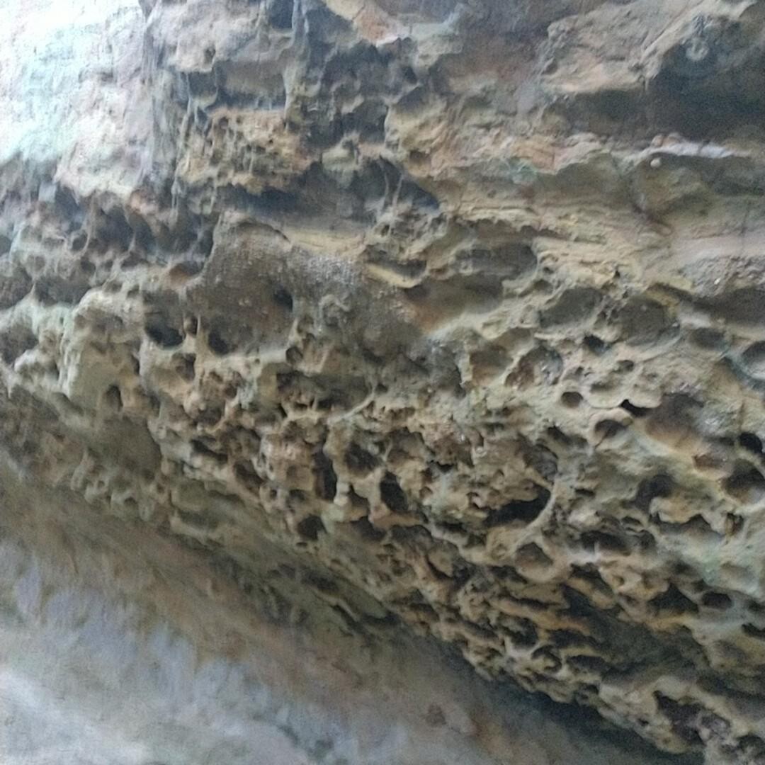 和歌山県のひき岩群登山＆新西国三十三番霊... / cotton＊さんのモーメント | YAMAP / ヤマップ