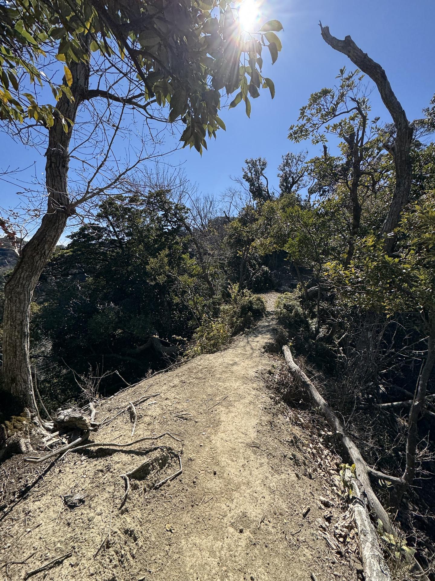 千葉県の梨沢鎌倉古道の山ボラに行ってきま... / akioさんのモーメント | YAMAP / ヤマップ