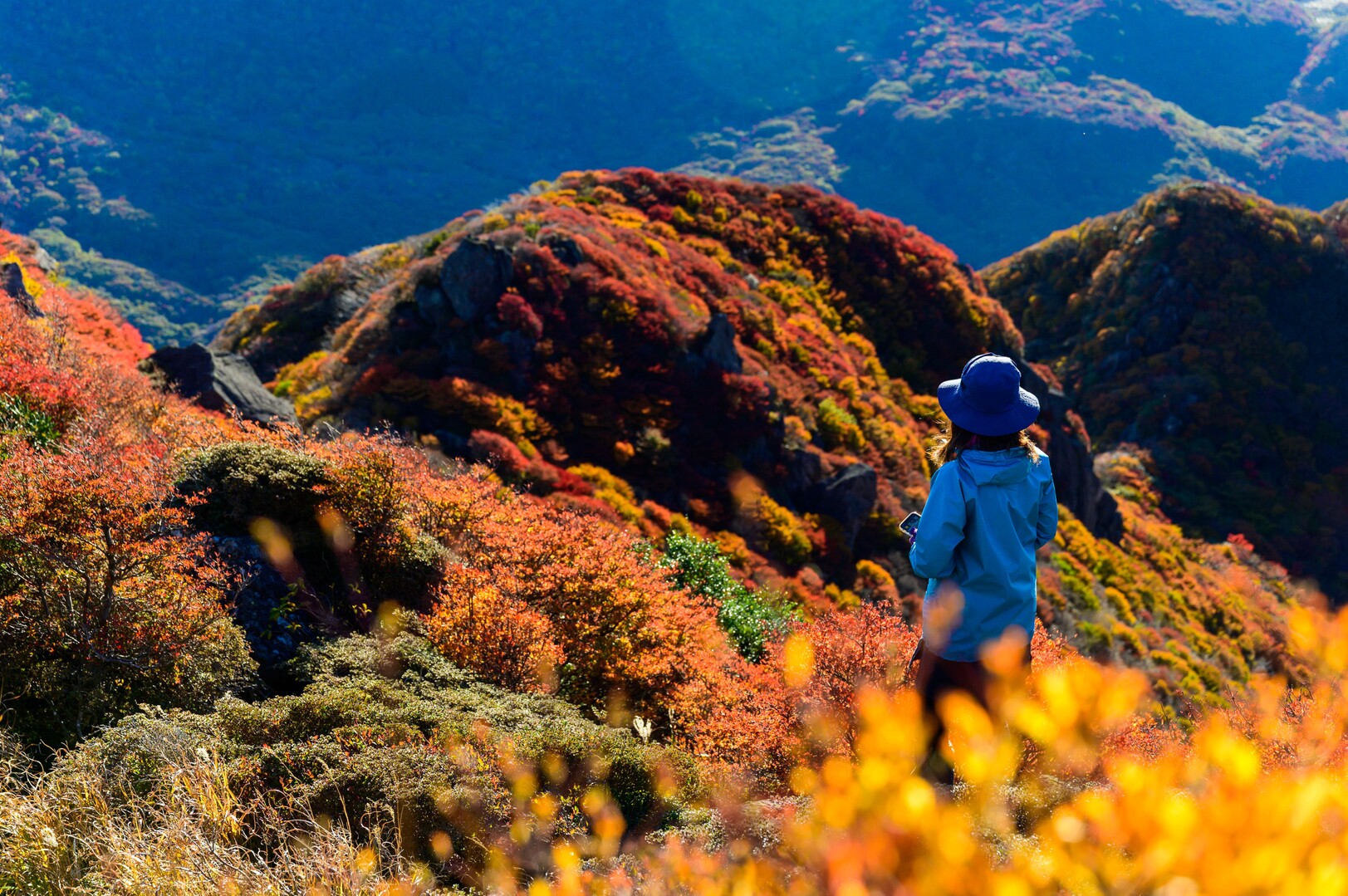 紅葉前線 三俣山 / マルワイさんの九重山（久住山）・大船山・星生山の活動データ | YAMAP / ヤマップ