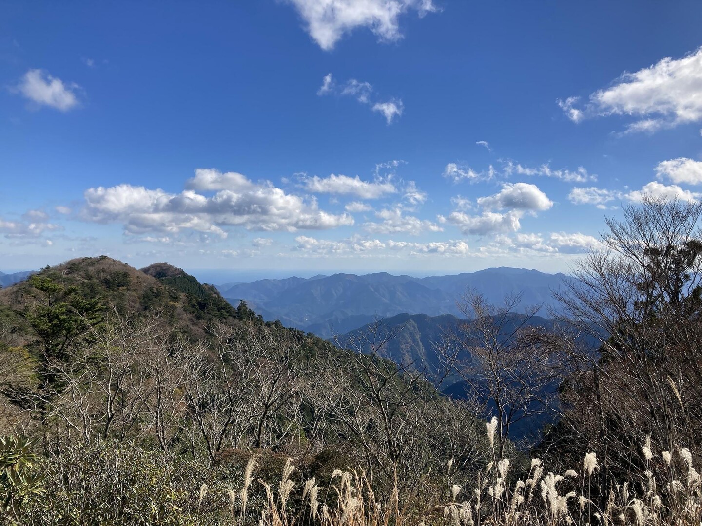 玉置山 / Samさんの玉置山の活動データ | YAMAP / ヤマップ