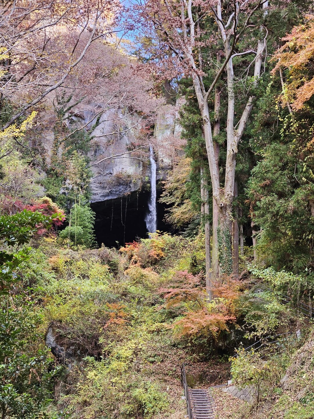 ユーザーさんのレポから行ってみたかった棚... / アンバーさんのモーメント | YAMAP / ヤマップ