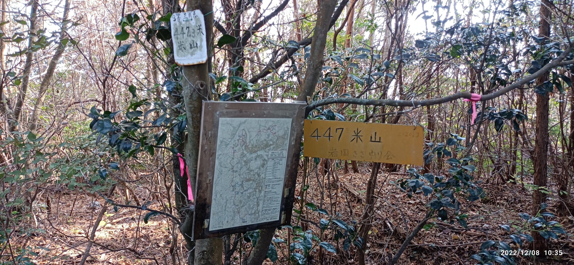 米山から通津へ / Mark 141さんの熊ヶ山・雲霞山の活動データ | YAMAP / ヤマップ