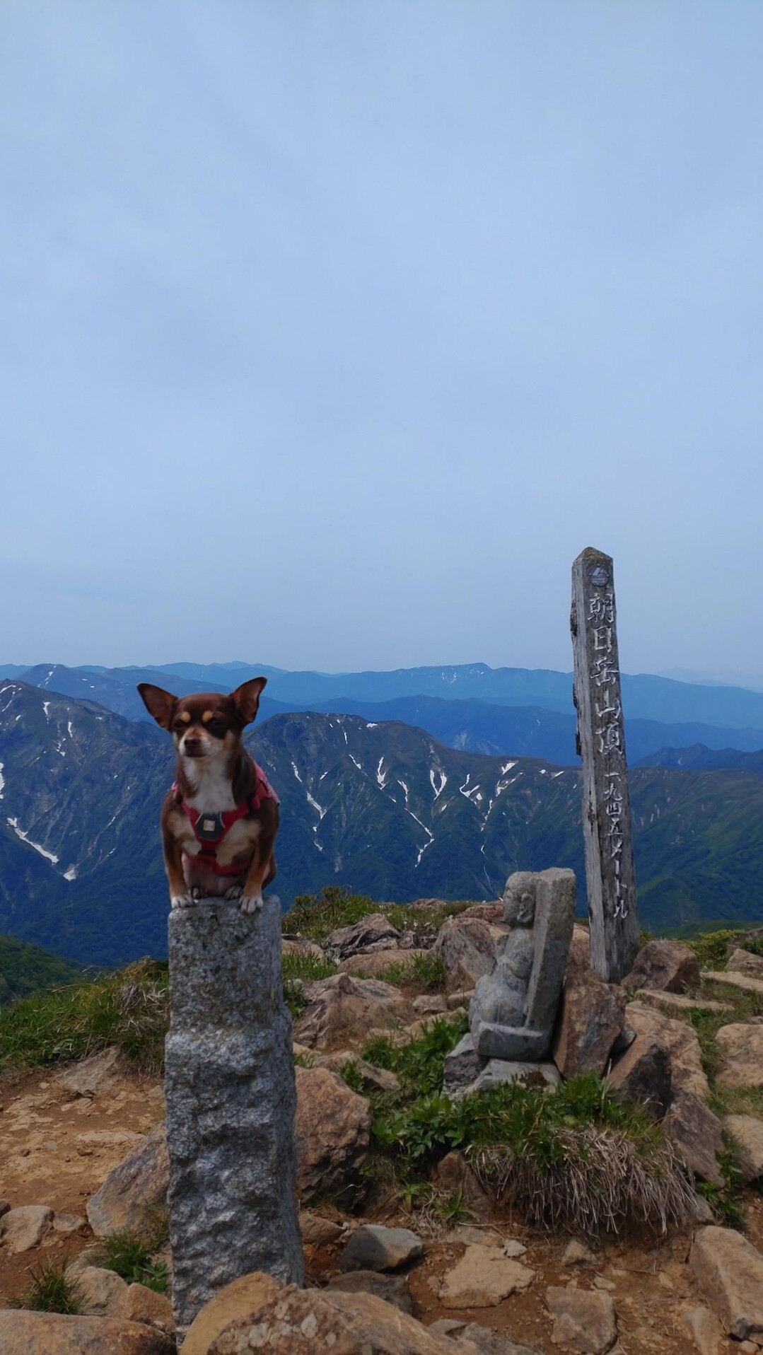白毛門～清水峠 / y.zatoさんの朝日岳の活動データ | YAMAP / ヤマップ