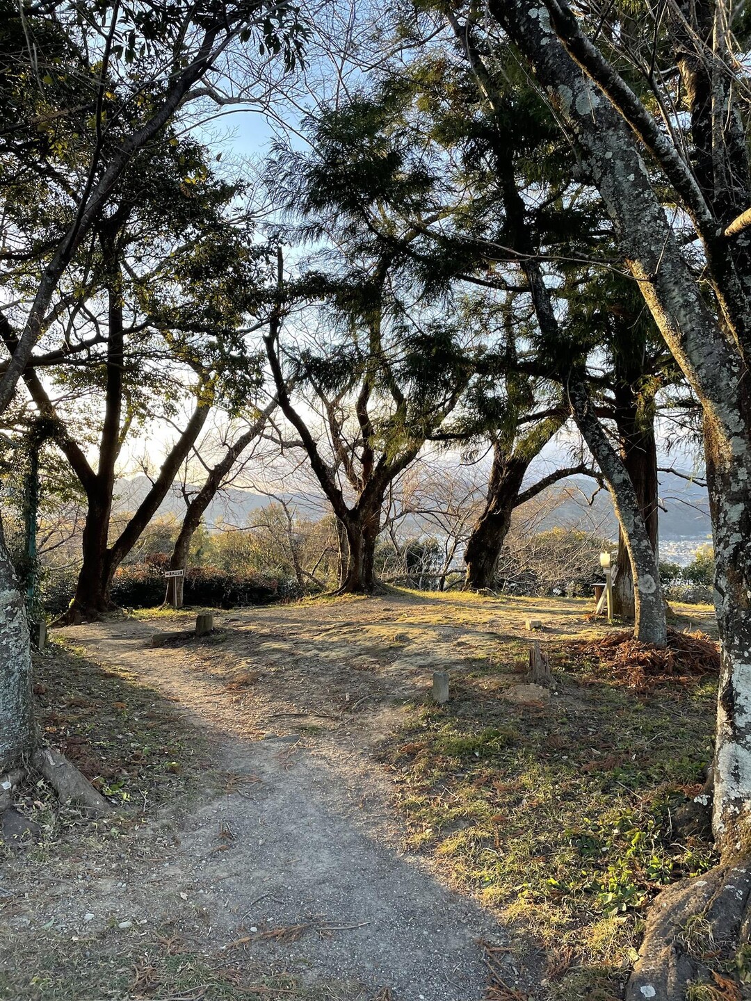 観音山・谷津山 / minorunさんの谷津山の活動データ | YAMAP / ヤマップ