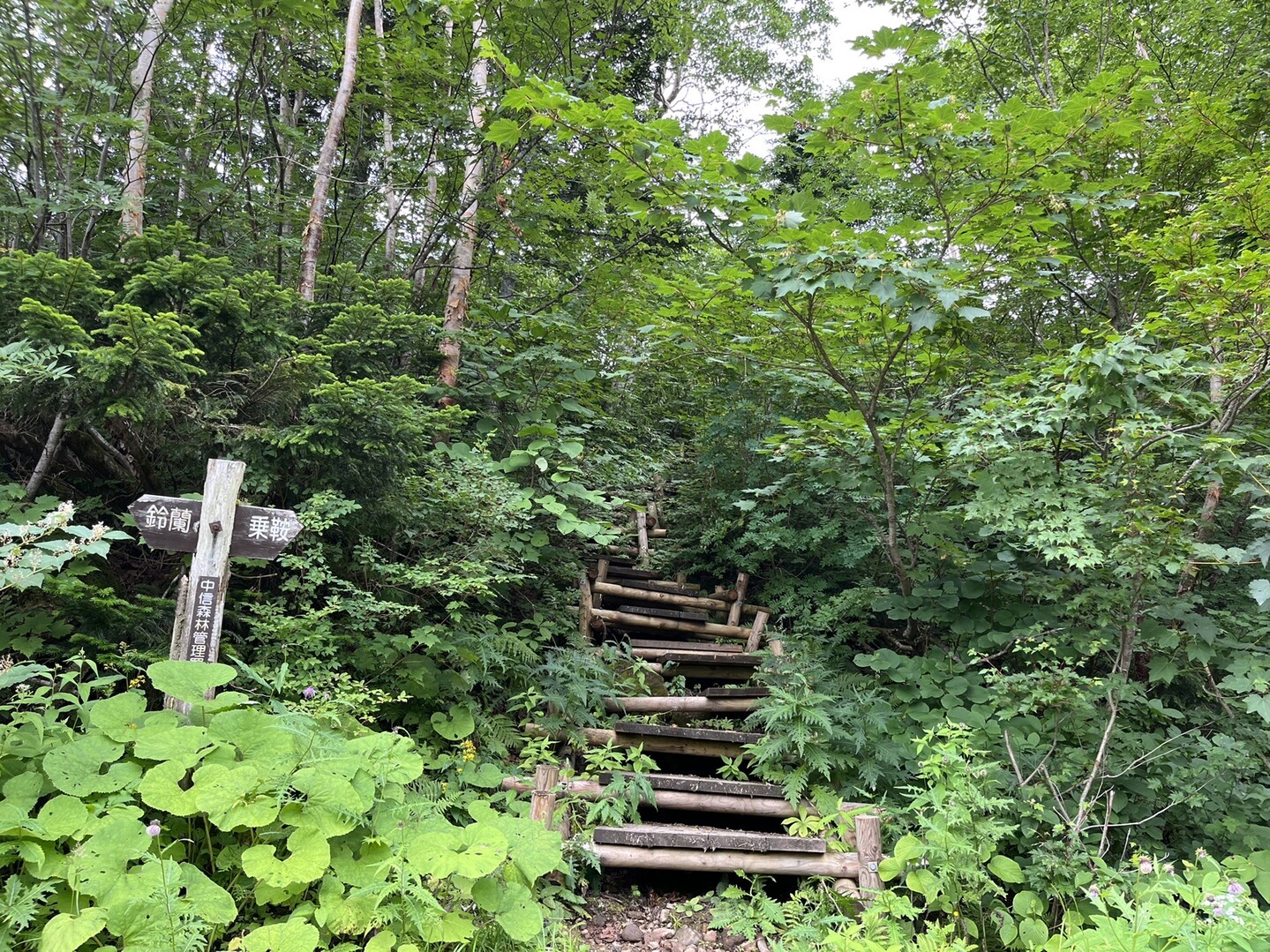 乗鞍で高地トレーニングって、酒飲みのトレ... / Telemacさんのモーメント | YAMAP / ヤマップ