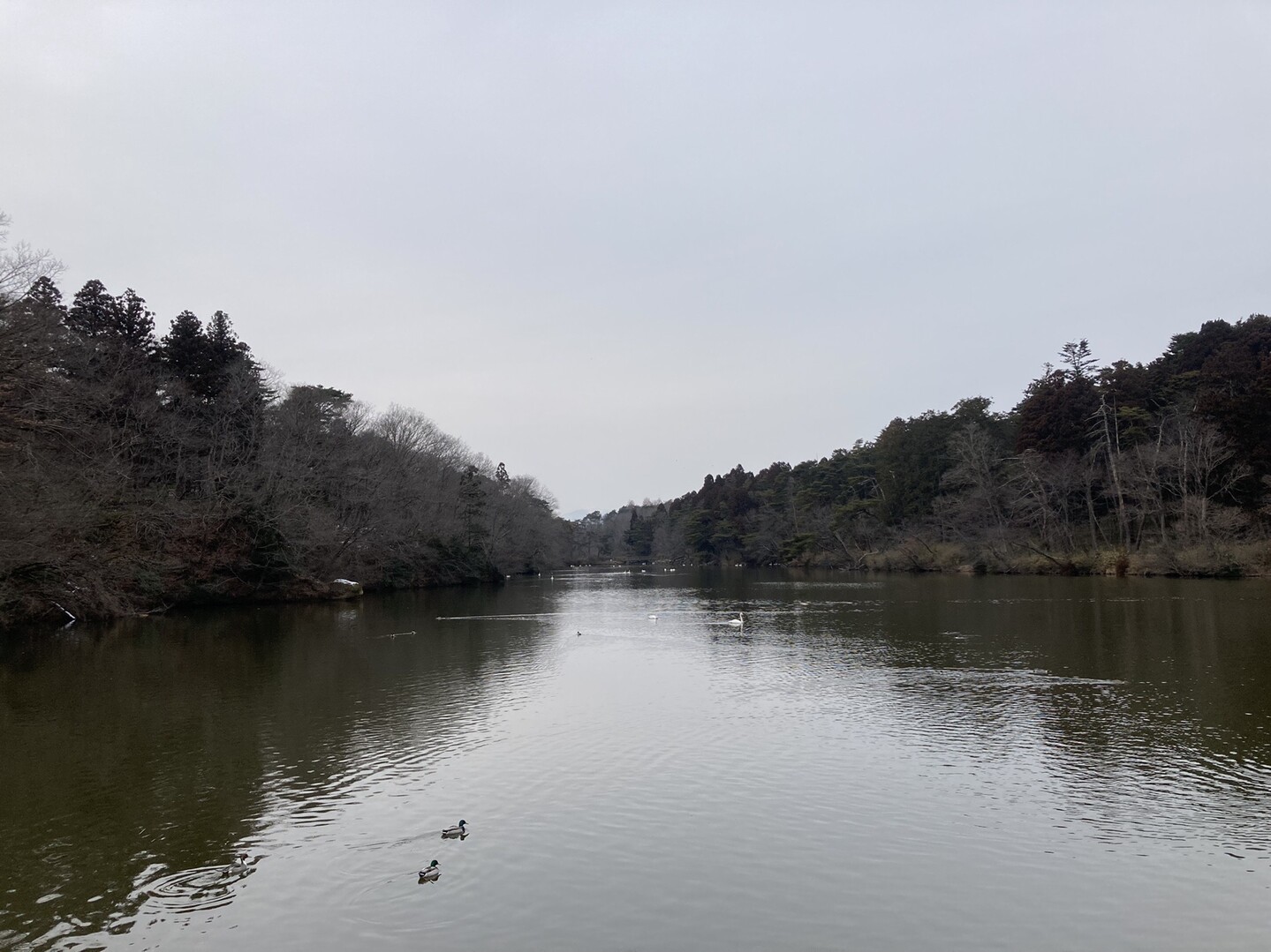 こんにちは^ ^ 今日は暖かい1日でし... / OBsunさんのモーメント | YAMAP / ヤマップ