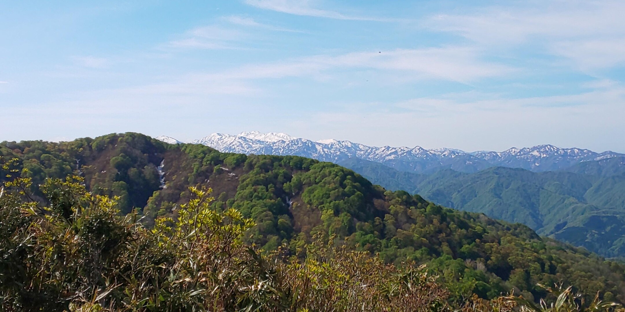 白兀山・蛇尾山・奥医王山（医王山） / kit-yさんの医王山・白兀山・箱屋谷山の活動データ | YAMAP / ヤマップ