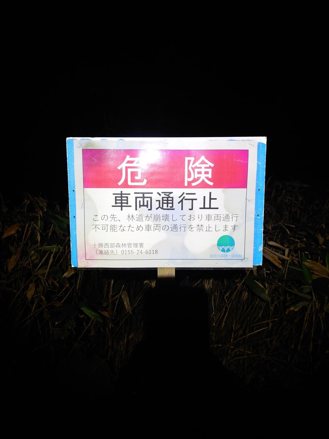 ARUさんの投稿したフィールドメモ | YAMAP / ヤマップ