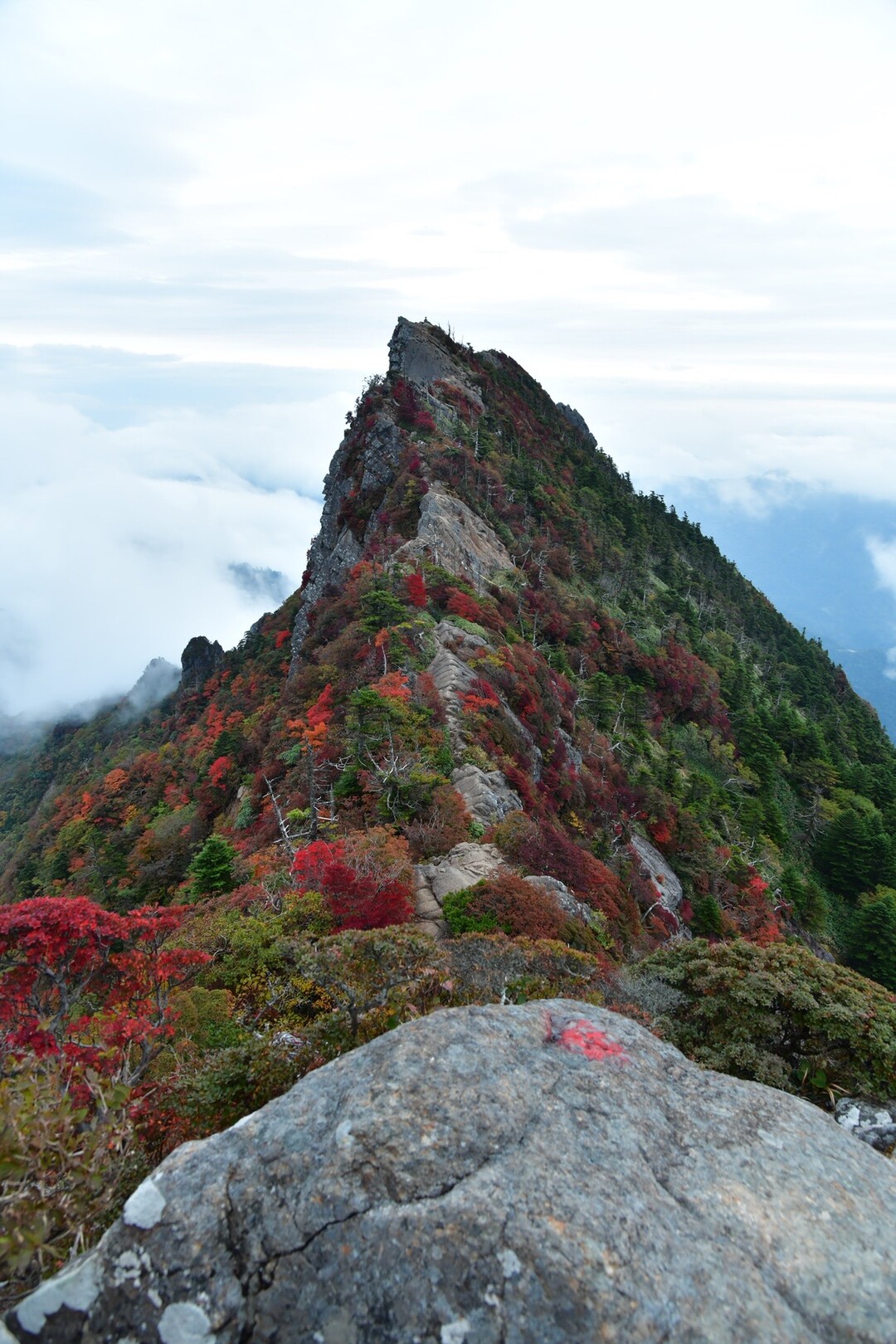 紅葉石鎚山🍁 / eiji_taさんの石鎚山・堂ヶ森・二ノ森の活動データ | YAMAP / ヤマップ
