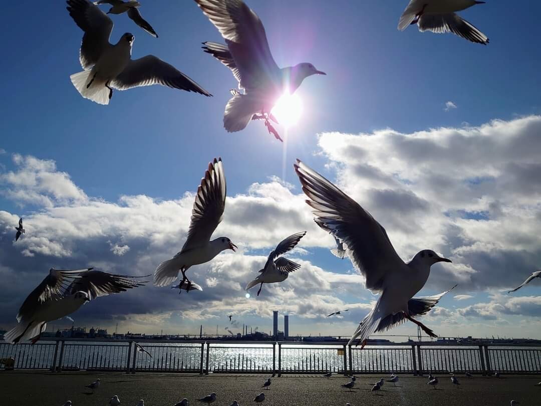 ♪あかりが消えたら♪ ↓ https:... / 月見のサンタさんのモーメント | YAMAP / ヤマップ