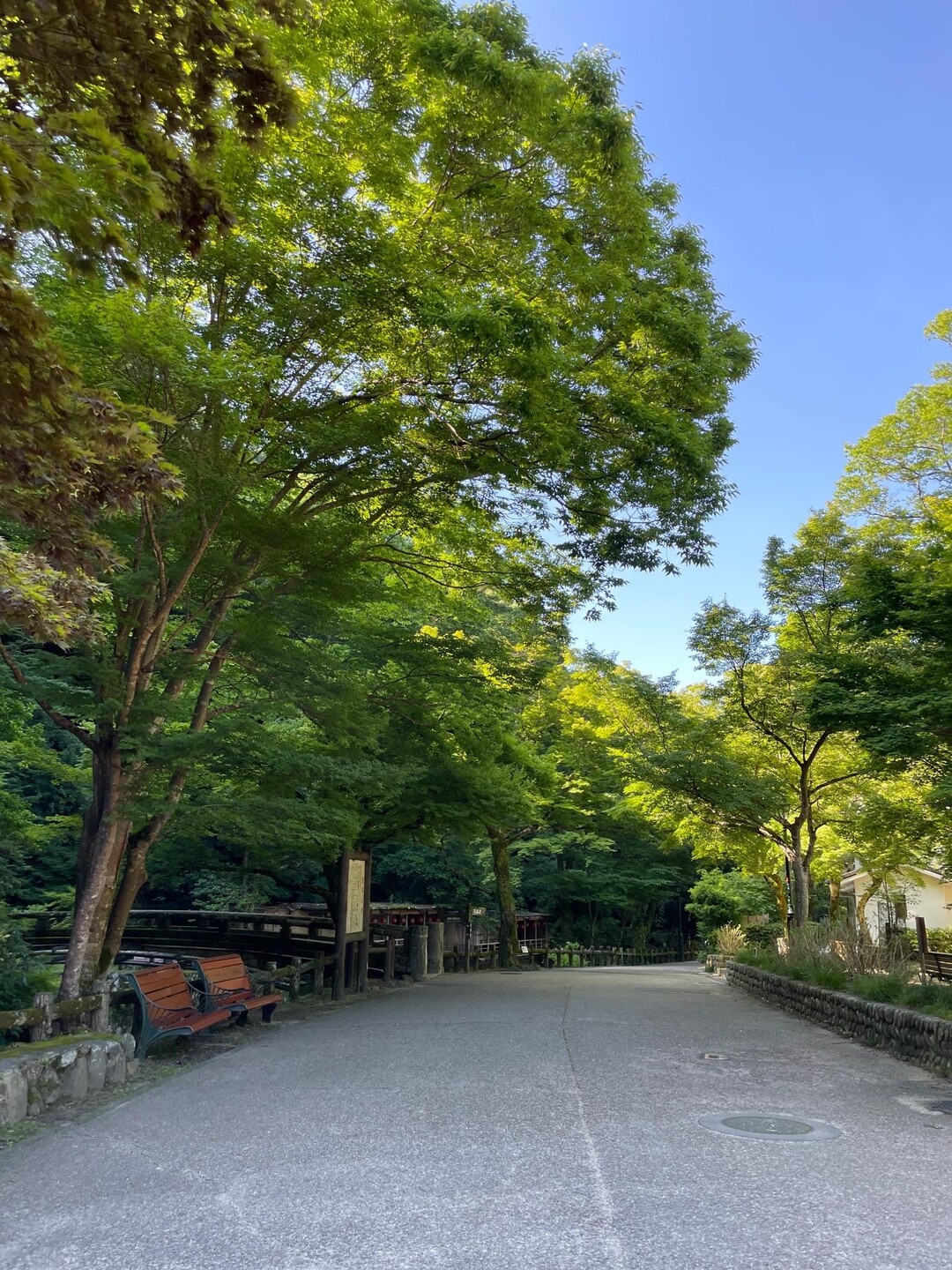 滝道ウォーキング-2024-07-05 / Yamasanさんのウォーキングの活動データ | YAMAP / ヤマップ