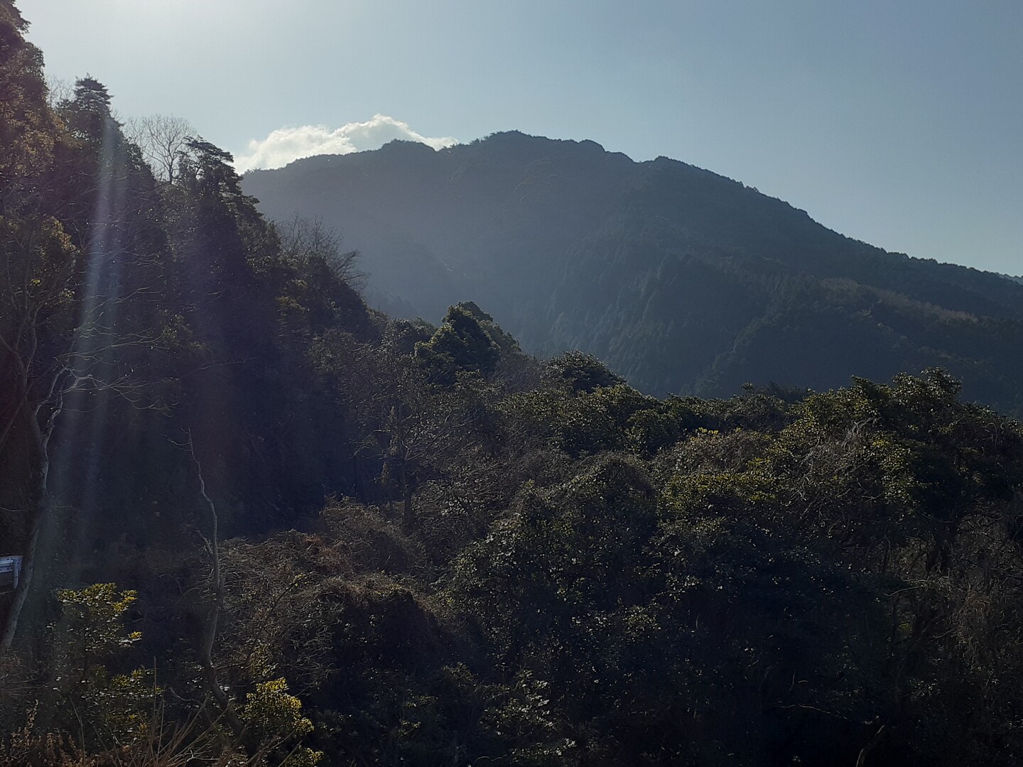 道なき道 R3油山③ / ジムランさんの油山・荒平山・片縄山の活動データ | YAMAP / ヤマップ