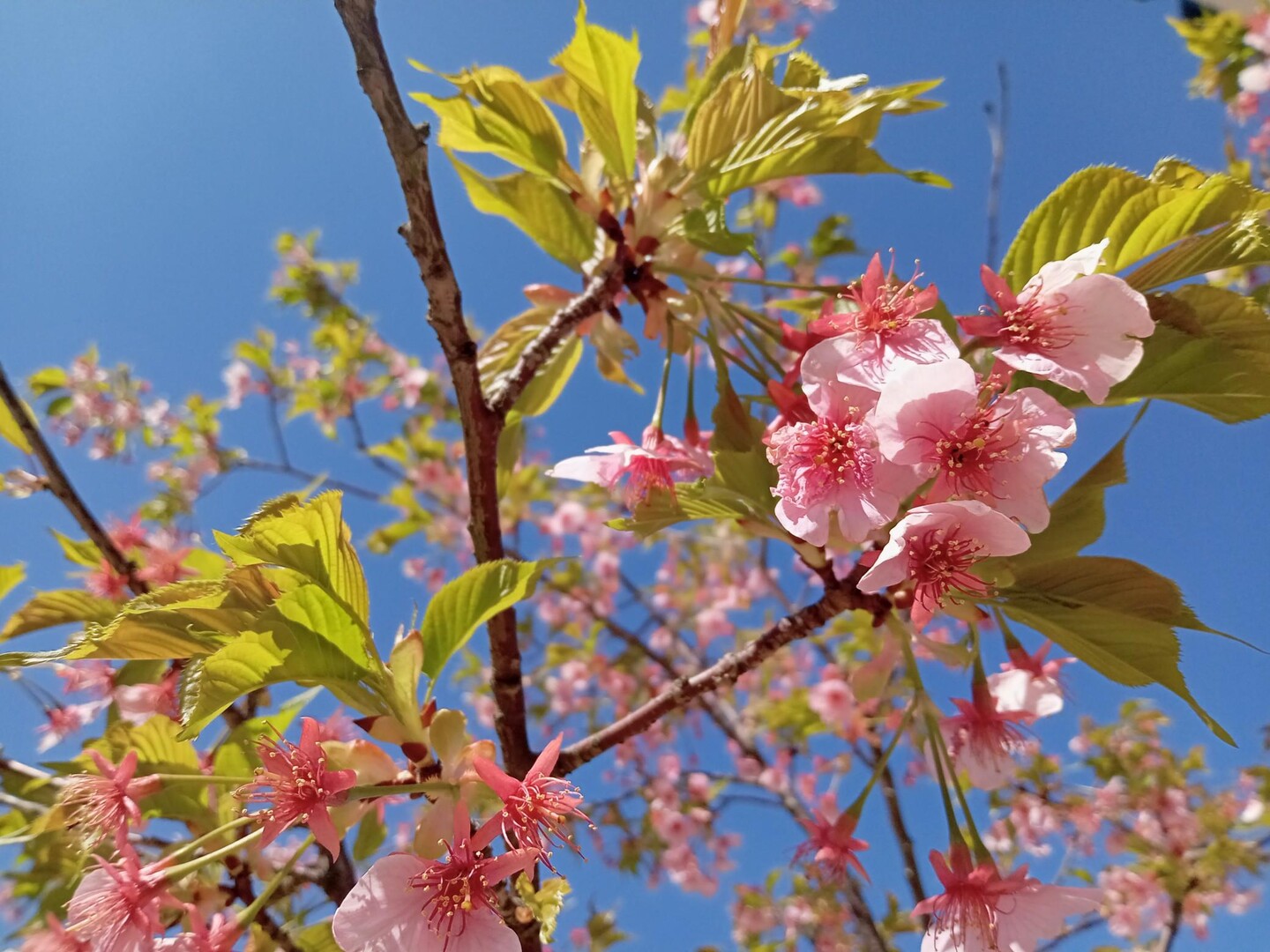 2023.03.15(水) 08:38 / r08さんのモーメント | YAMAP / ヤマップ