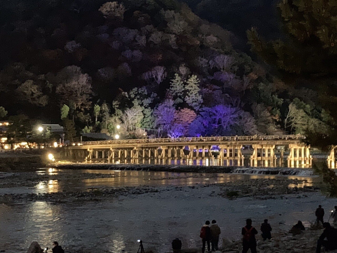 京都：嵐山花灯路2020 / あッきぃ🍀さんのモーメント | YAMAP / ヤマップ