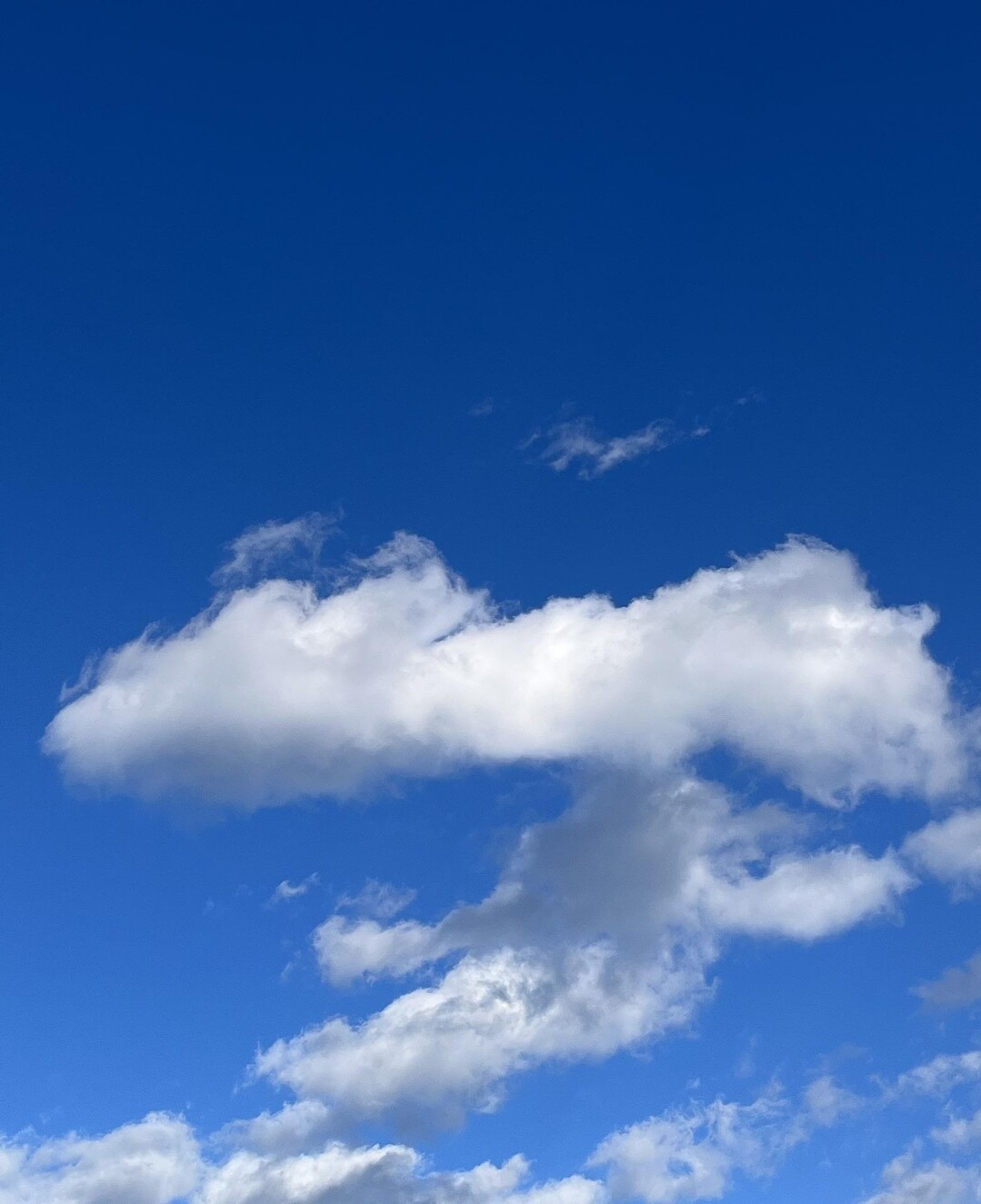 ⑧Apple Watch＋YAMAP不整脈⁉️医師の助言 / たま🐾さんのウォーキングの活動データ | YAMAP / ヤマップ