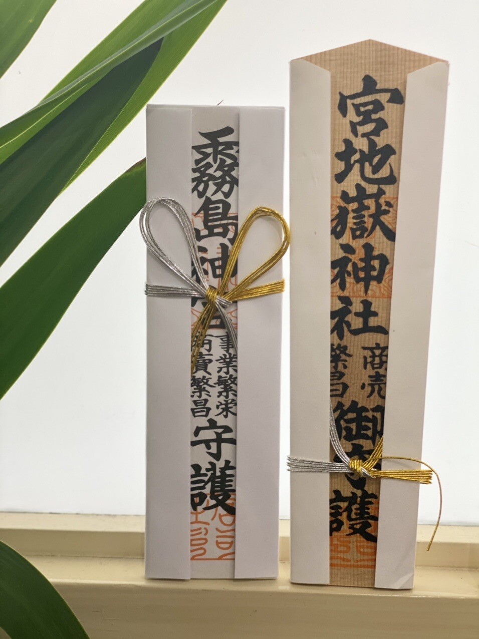 新旧交代からのもふもふ🐼快進撃 い... / ヒロミさんのモーメント | YAMAP / ヤマップ