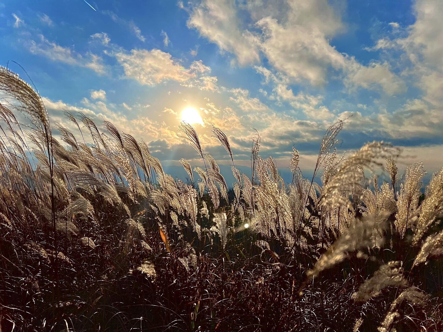 夕暮れ時の葛城山山頂。孫が、ロープウェイ... / moboさんのモーメント | YAMAP / ヤマップ