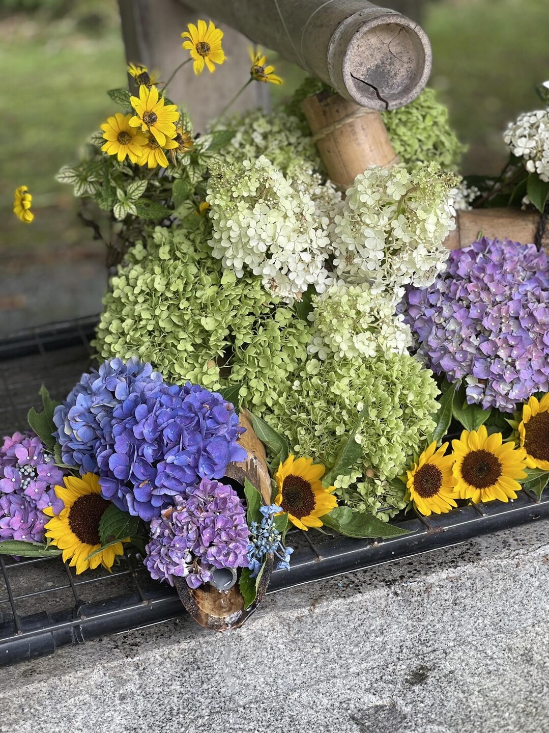 新得山 / izumi.moさんの新得山の活動データ | YAMAP / ヤマップ