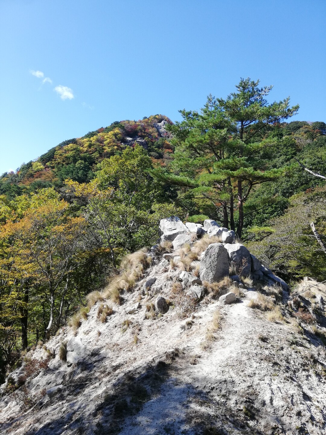 GNMTのページ | YAMAP / ヤマップ