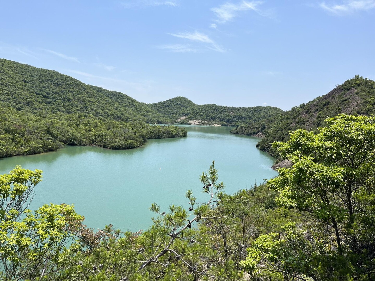 6月の三草山🐌 / masuminさんの三草山の活動データ | YAMAP / ヤマップ