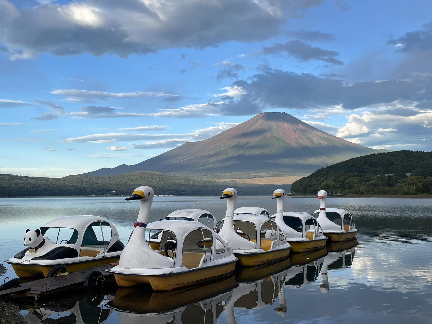 富士吉田口登山道、馬返し〜佐藤小屋〜6号目往復 / やまびこGさんの富士山の活動データ | YAMAP / ヤマップ