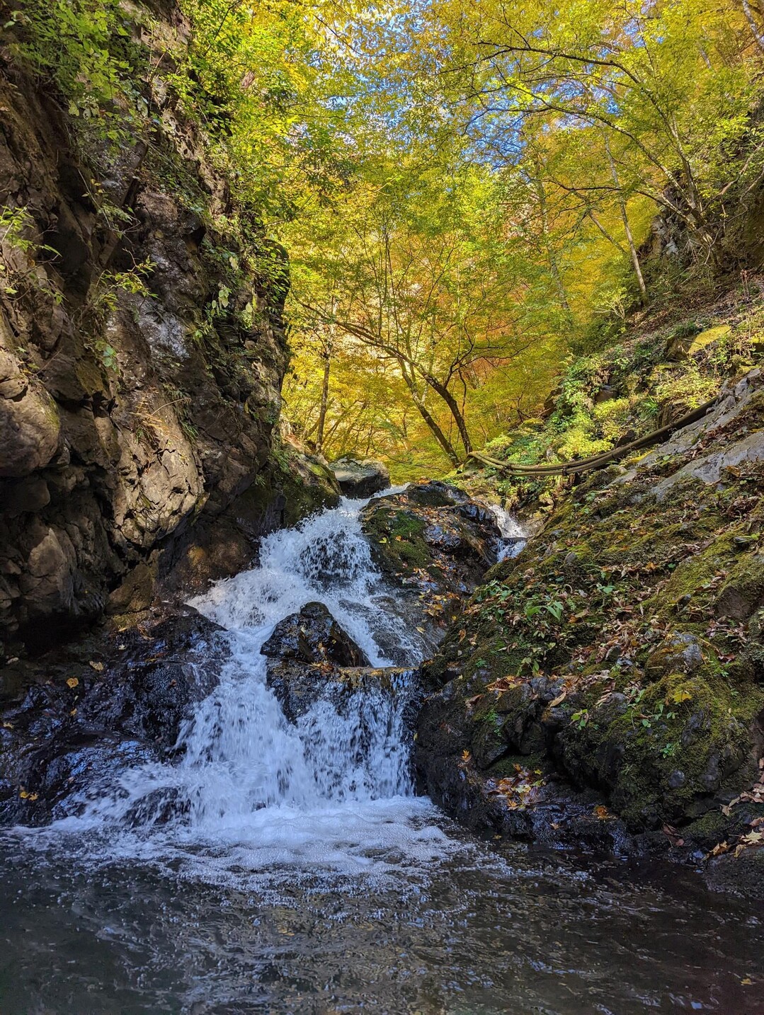 お祭〜三条の湯〜雲取山〜三峯神社 / ryryryryさんの雲取山・鷹ノ巣山・七ツ石山の活動データ | YAMAP / ヤマップ