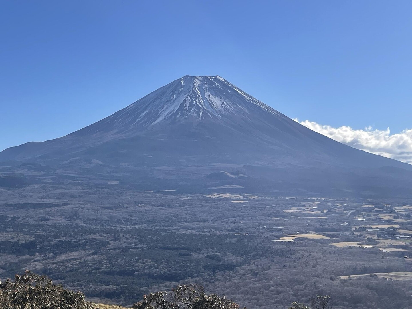 2025竜ヶ岳登り初め🐉 / megさんの毛無山・雨ヶ岳・竜ヶ岳の活動データ | YAMAP / ヤマップ