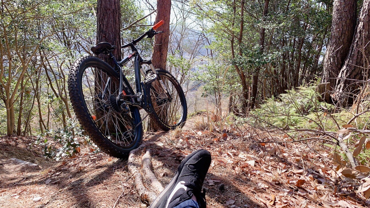 TIGER.Noriのページ | YAMAP / ヤマップ