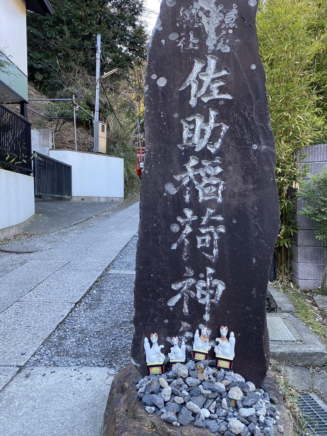 Nmamaさんの投稿したフィールドメモ | YAMAP / ヤマップ