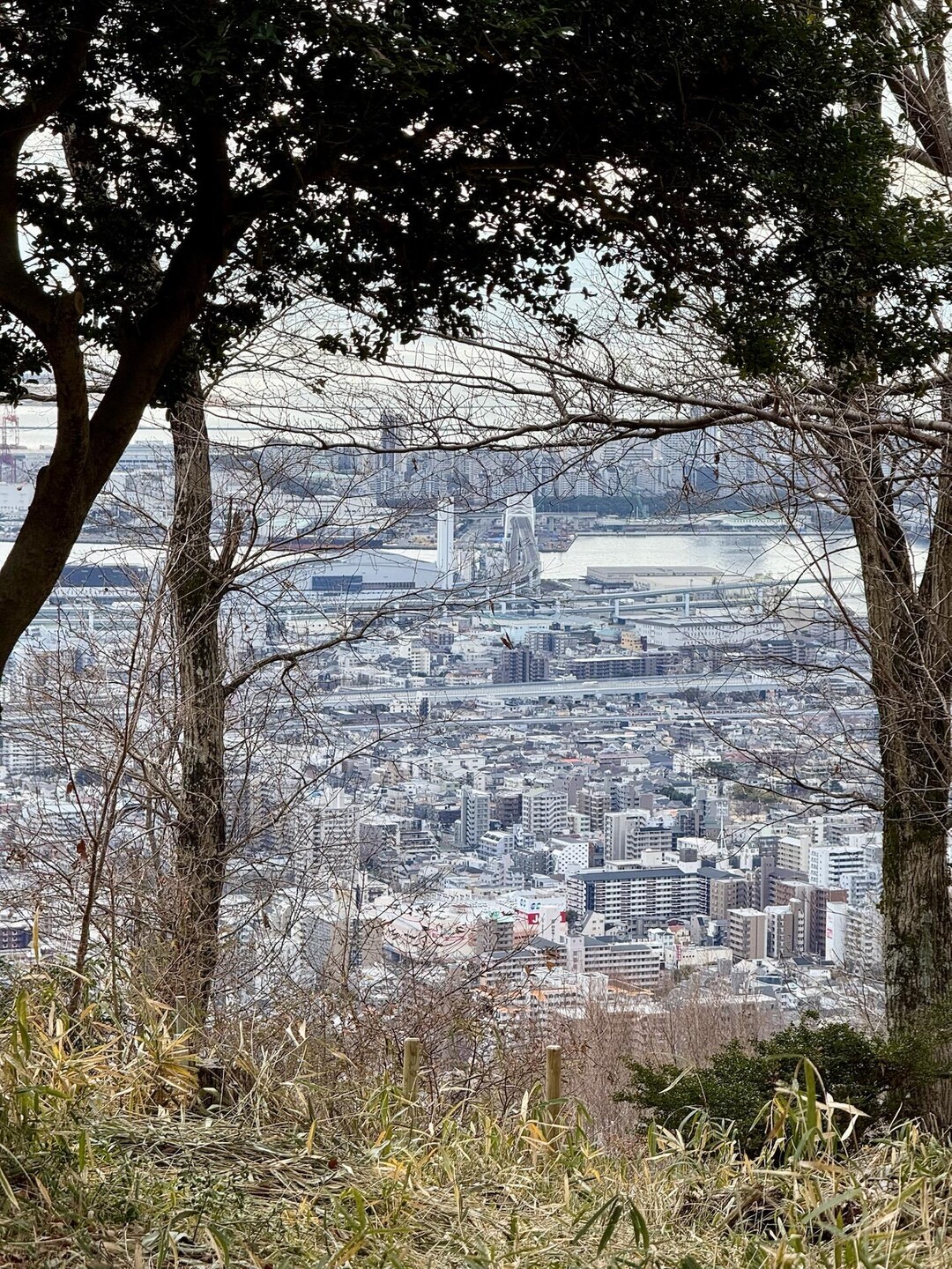モデルコース「芦屋川駅-岡本駅 縦走コース」😊 / Gekkoさんの六甲山・長峰山・摩耶山の活動データ | YAMAP / ヤマップ