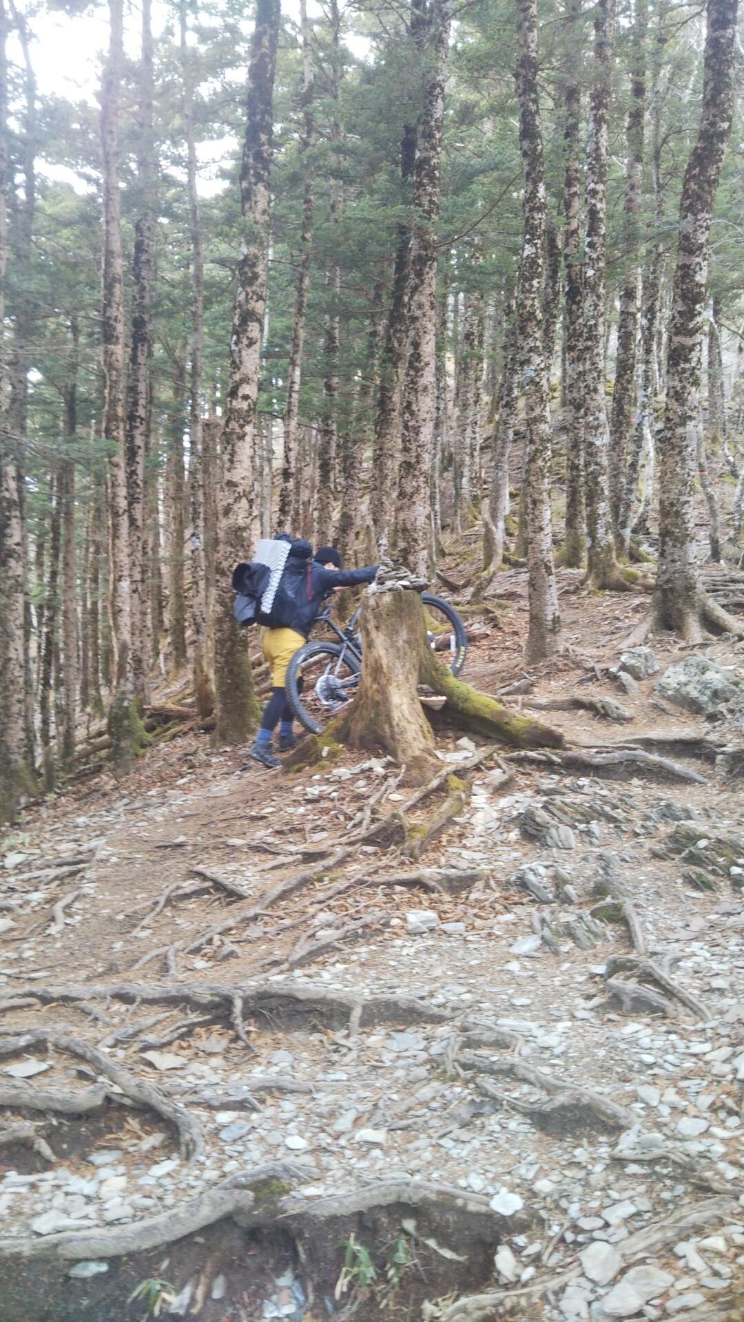 三嶺 / ONIさんの三嶺・天狗塚・石立山の活動データ | YAMAP / ヤマップ