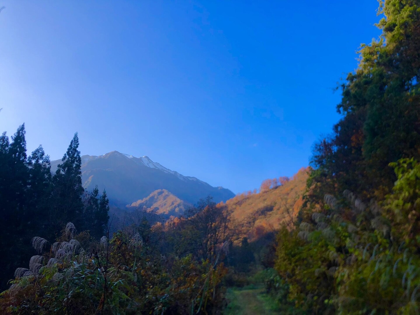 ちょっと、、、いろんなトラブルが、、とい... / Naluさんのモーメント | YAMAP / ヤマップ