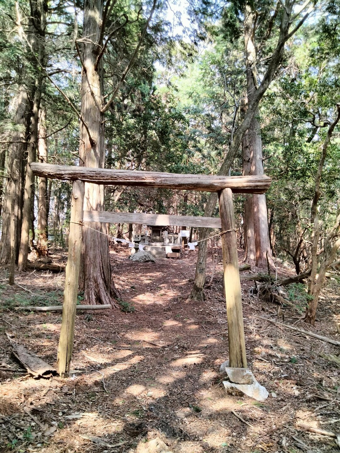 高根山・権現山・秋葉山 / KUMIKOさんの本陣山の活動データ | YAMAP / ヤマップ