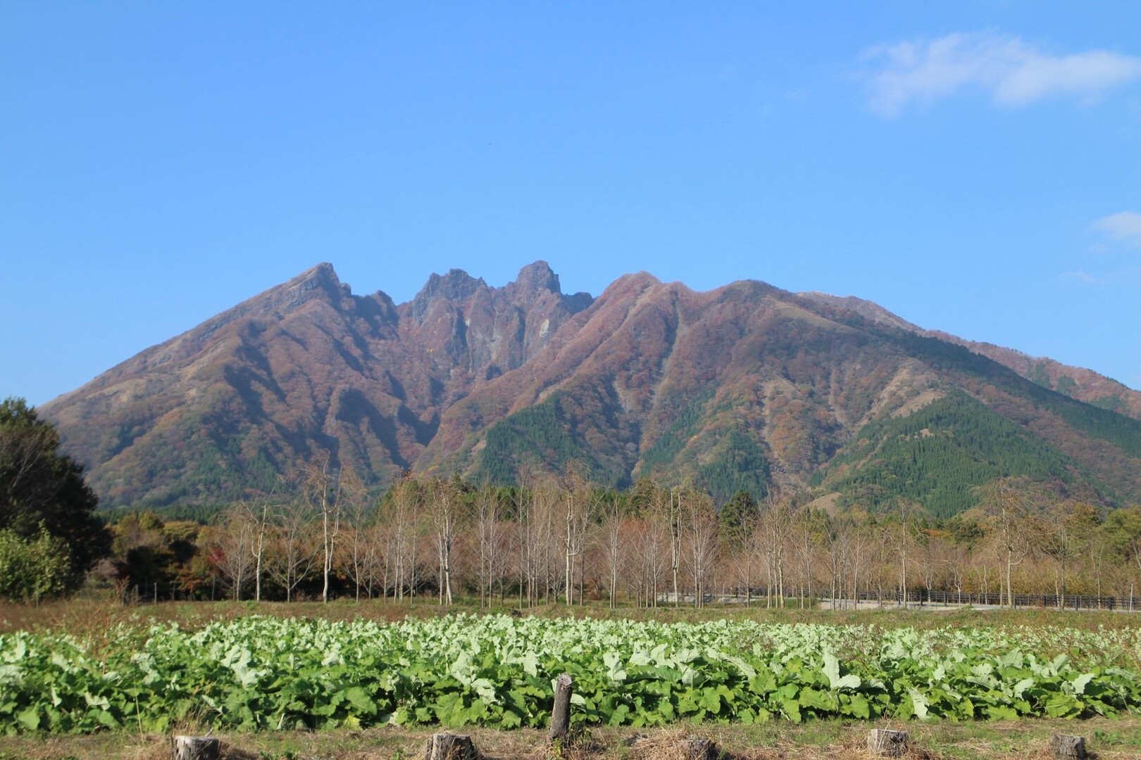 根子岳東峰 / しんやさんの阿蘇山・高岳・根子岳の活動データ | YAMAP / ヤマップ