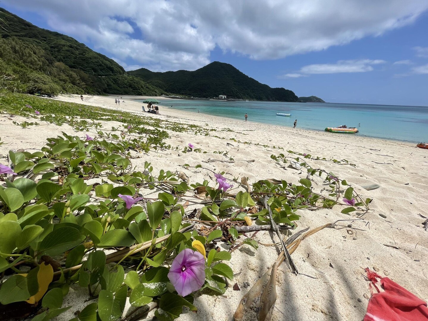 《渡嘉敷島》阿波連ビーチにてシュノーケリング🤿+ハイキング+nap time😪+夕日 / ukimayuさんのハイキングの活動データ | YAMAP / ヤマップ