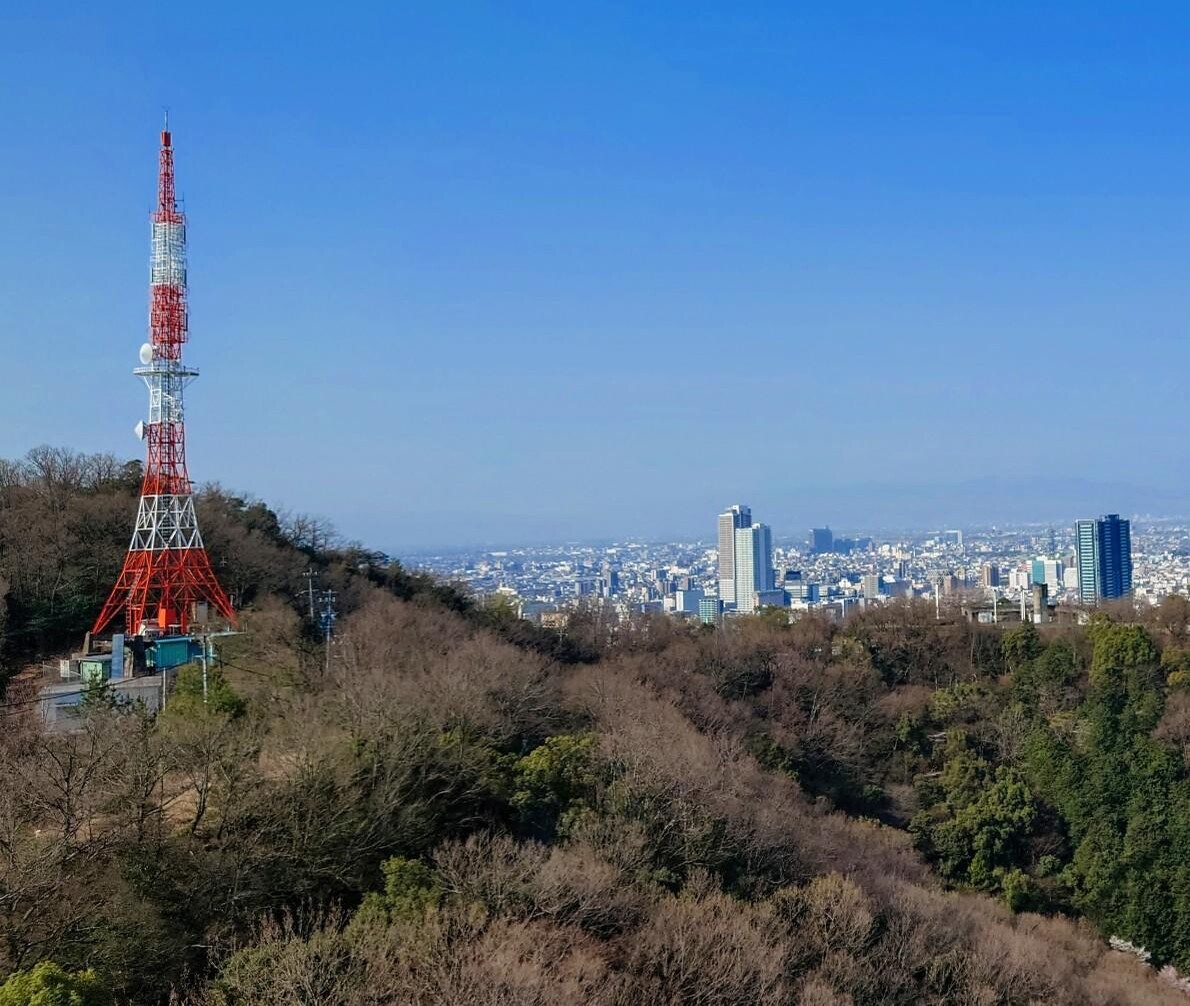 水道山周辺散策 / yanagingさんの金華山・洞山・舟伏山の活動データ | YAMAP / ヤマップ