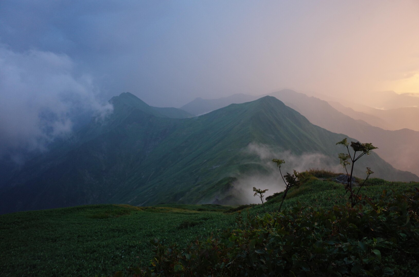 谷川主脈縦走 ※コースタイムハイカーが行く夏の大冒険 / Bluewindさんの谷川岳・七ツ小屋山・大源太山の活動データ | YAMAP / ヤマップ