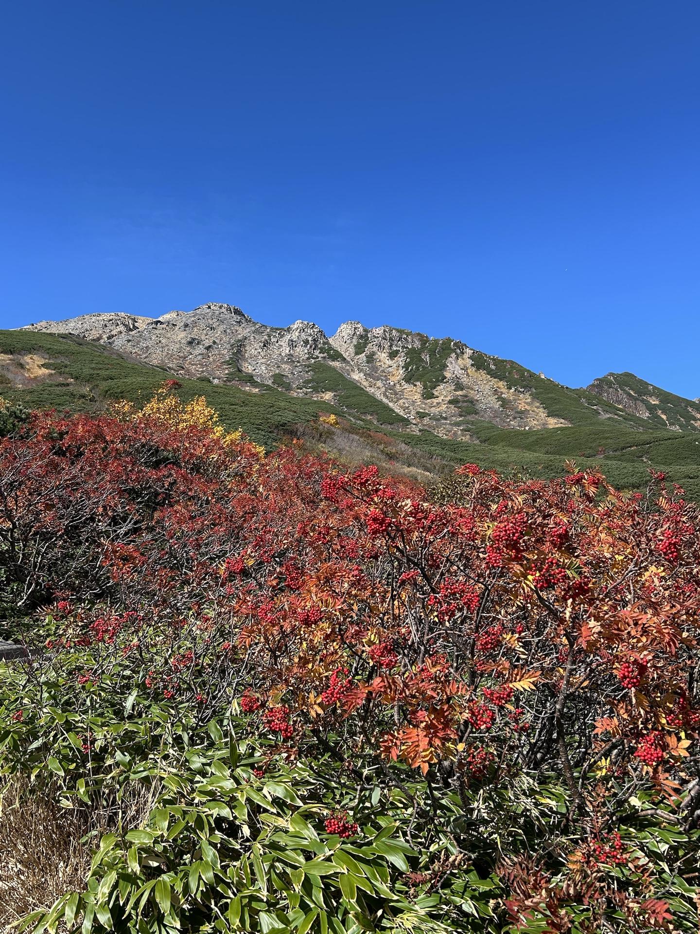 御嶽山（剣ヶ峰） / bopharさんの御嶽山・継子岳・摩利支天山の活動データ | YAMAP / ヤマップ
