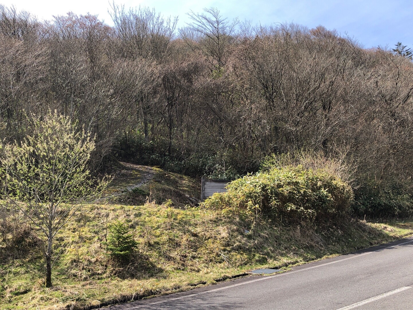 NORYさんの投稿したフィールドメモ | YAMAP / ヤマップ